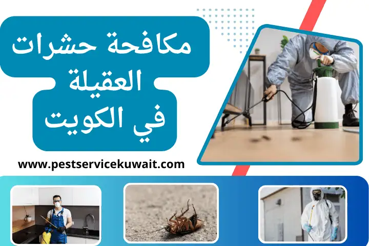 مكافحة حشرات العقيلة في الكويت | خدمة مكافحة الذباب 24 ساعة
