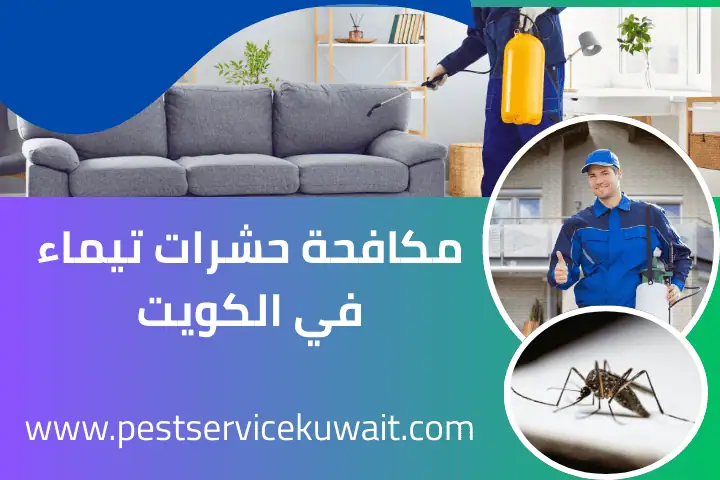 مكافحة حشرات تيماء بالكويت 24 ساعة – إبادة فعّالة لكل الحشرات